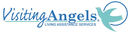 Finance Director/Assistant Controller - Visiting Angels of Jenkintown ...