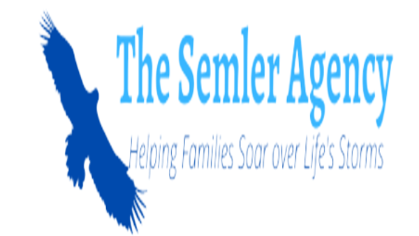 The Semler Agency - Career Page